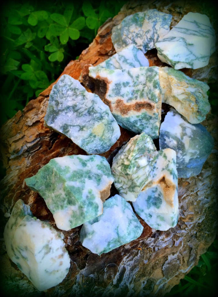 Natural Tree Agate - The Stability Stone for weathering life's storms ...