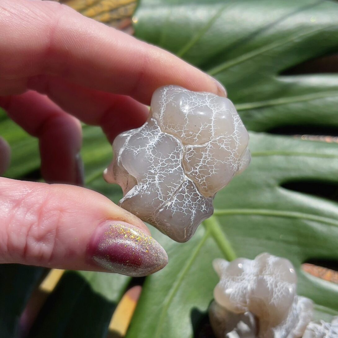 Sage Goddess Tumbled Snakeskin Agate for spiritual journey work