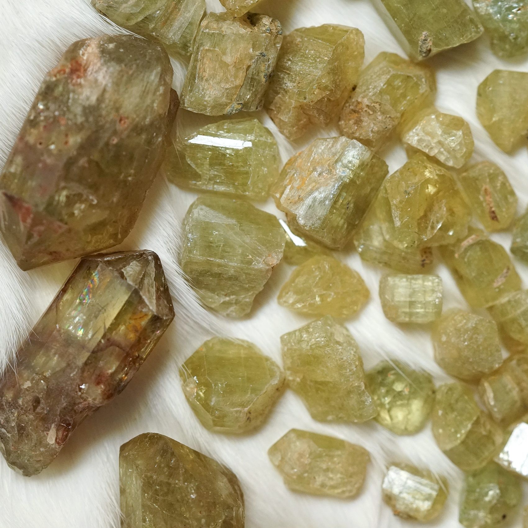 Natural Yellow Apatite for supreme manifestation and willpower