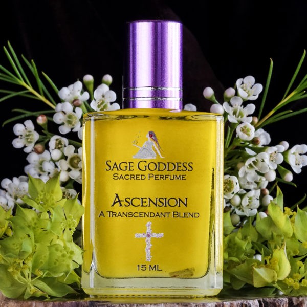 Ascension Kit for transcendence and Higher Realm magic