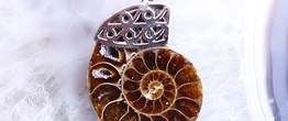Fibonacci Ammonite Pendants for invoking the mystical math of Mother Nature