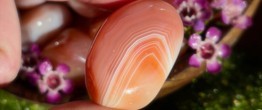 Sage Goddess Tumbled Apricot Agate for balance and protection