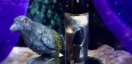 Raven Ritual Kit for shadow work and messages of things to come