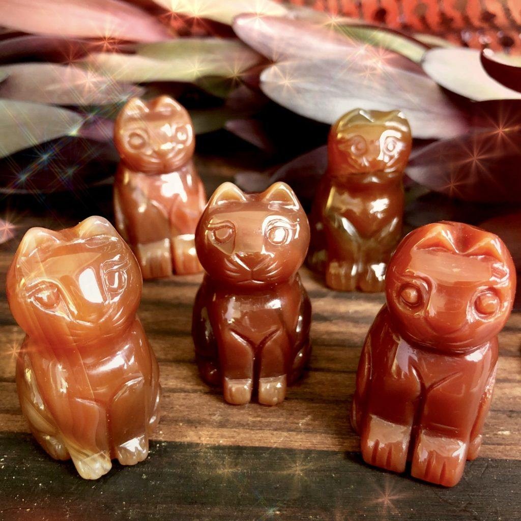 Carnelian Cats for creativity, manifestation, and adventure