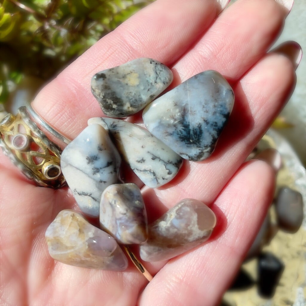 Sage Goddess Small Tumbled Dendritic Agate for growth and wisdom