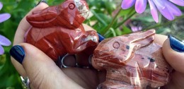 Snakeskin Jasper Rabbits for support on the journey of transformation
