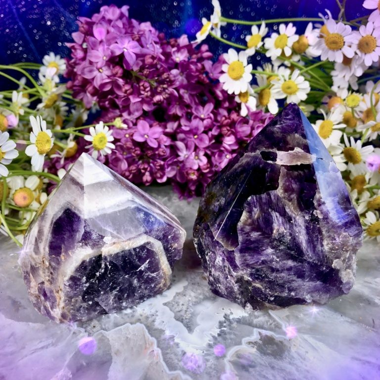 Choose Your Size: Choose an option Small Medium