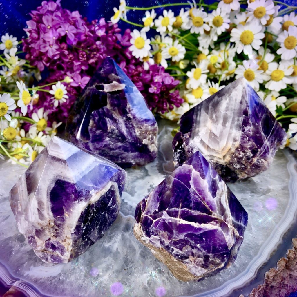 Choose Your Size: Choose an option Small Medium