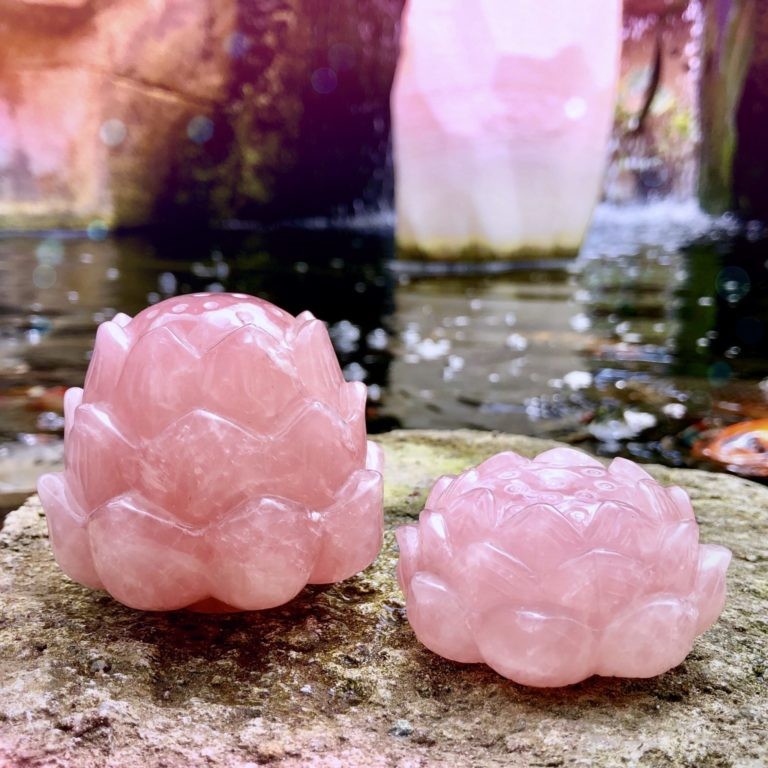 Buddha’s Love Rose Quartz Lotuses for awakening compassion