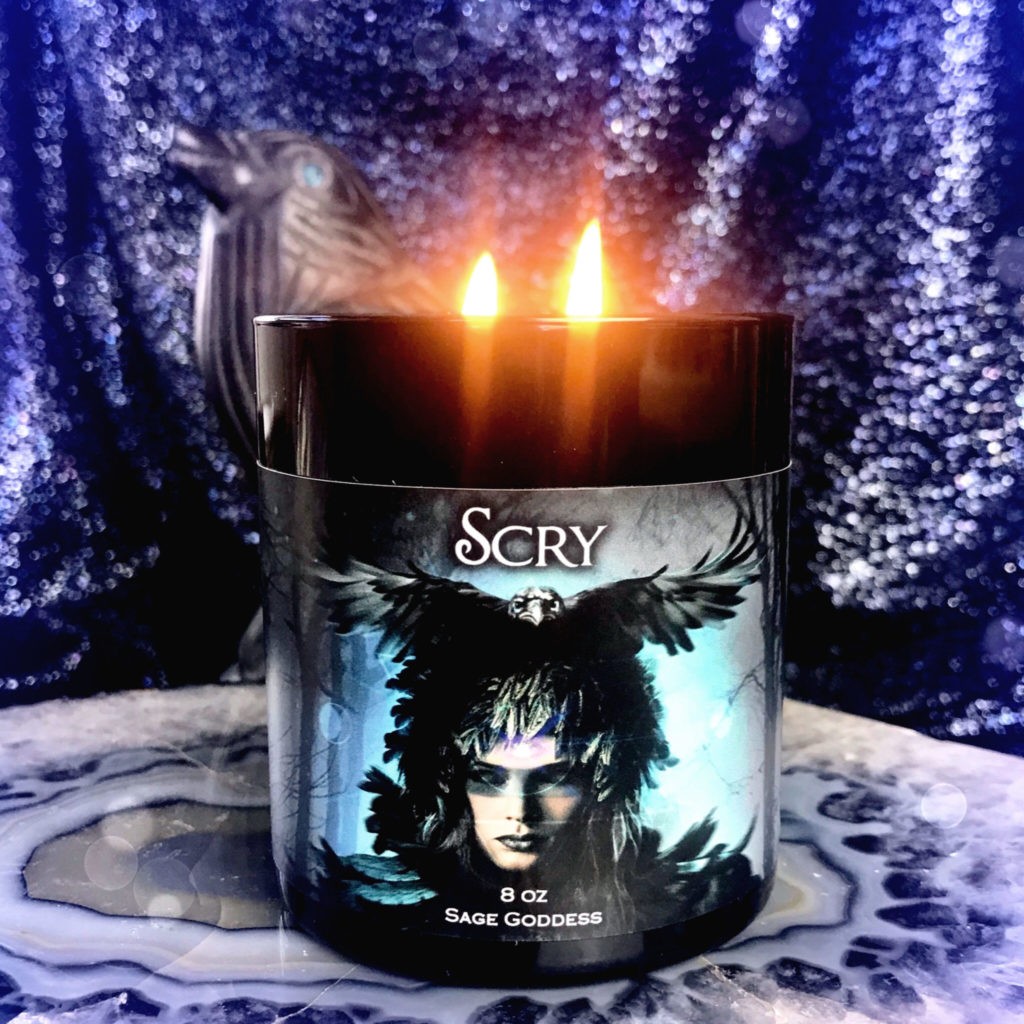 Raven New Moon Spirit Animal Set for Ritual with Athena