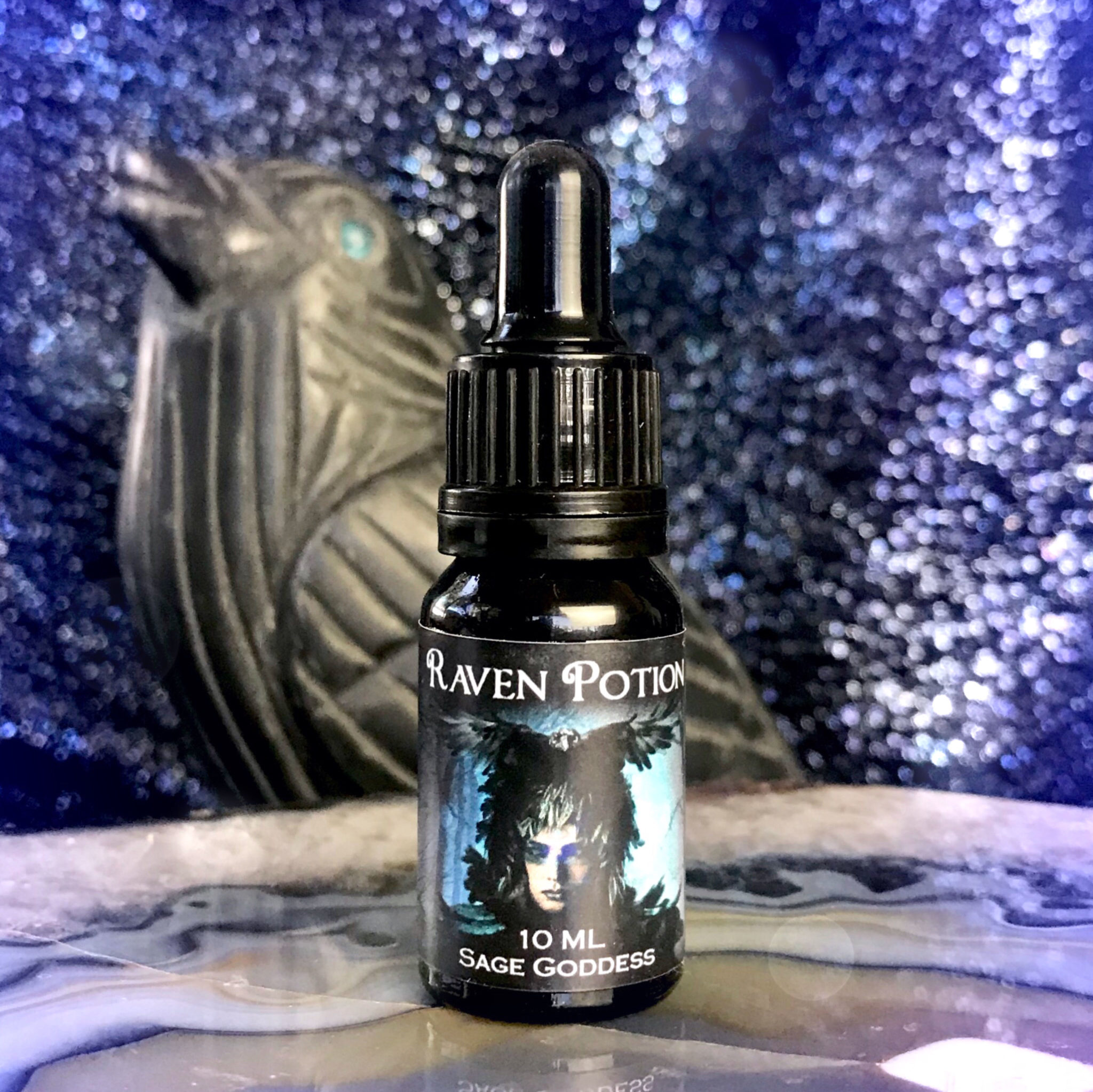 Home & Living Custom Handpainted Raven Stone New Age Spirit animal ...