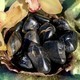 Sage Goddess Nellite: Small Tumbled for support through transformation