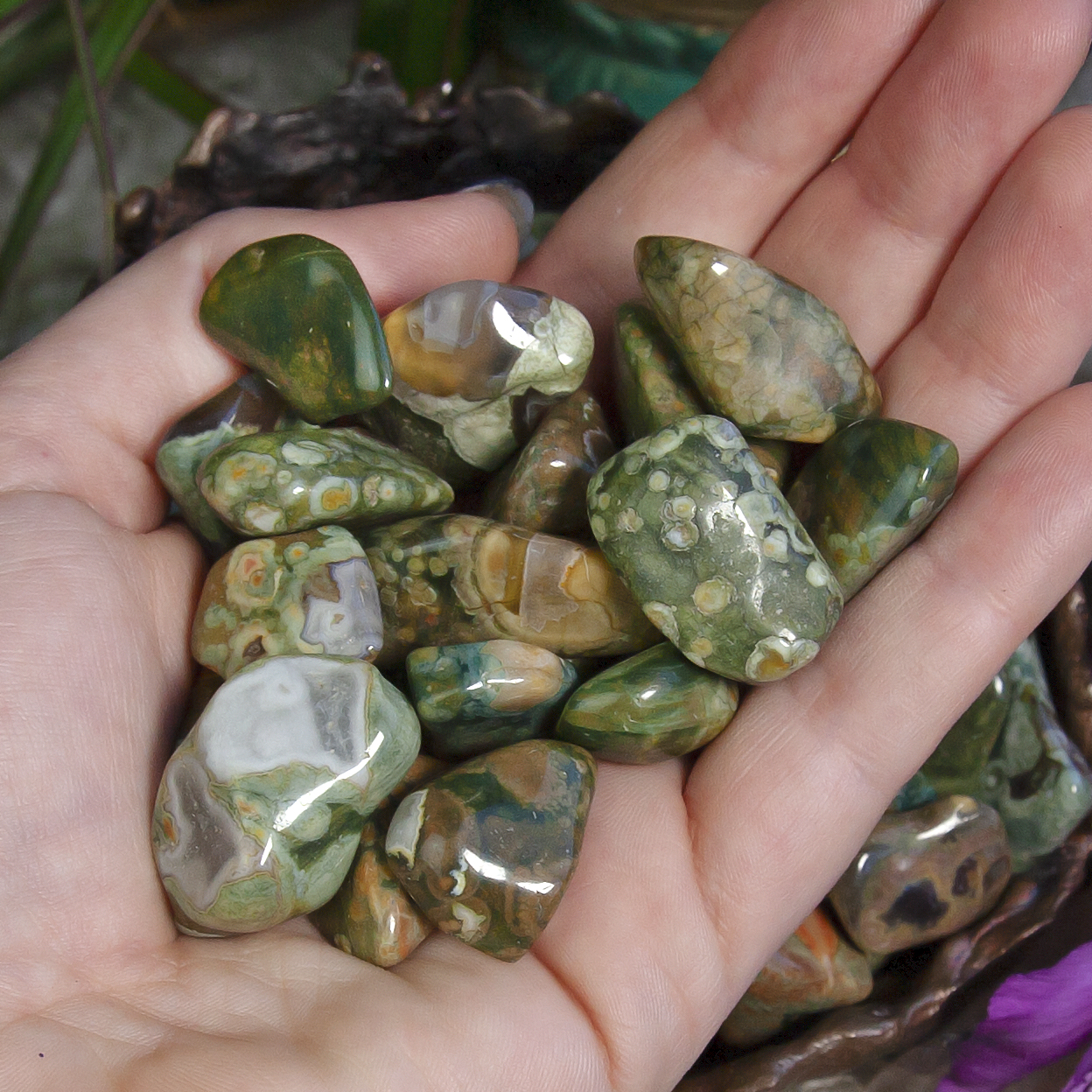 Gemstones kambaba jasper & rainforest rhyolite Tumble bundle; moss ...