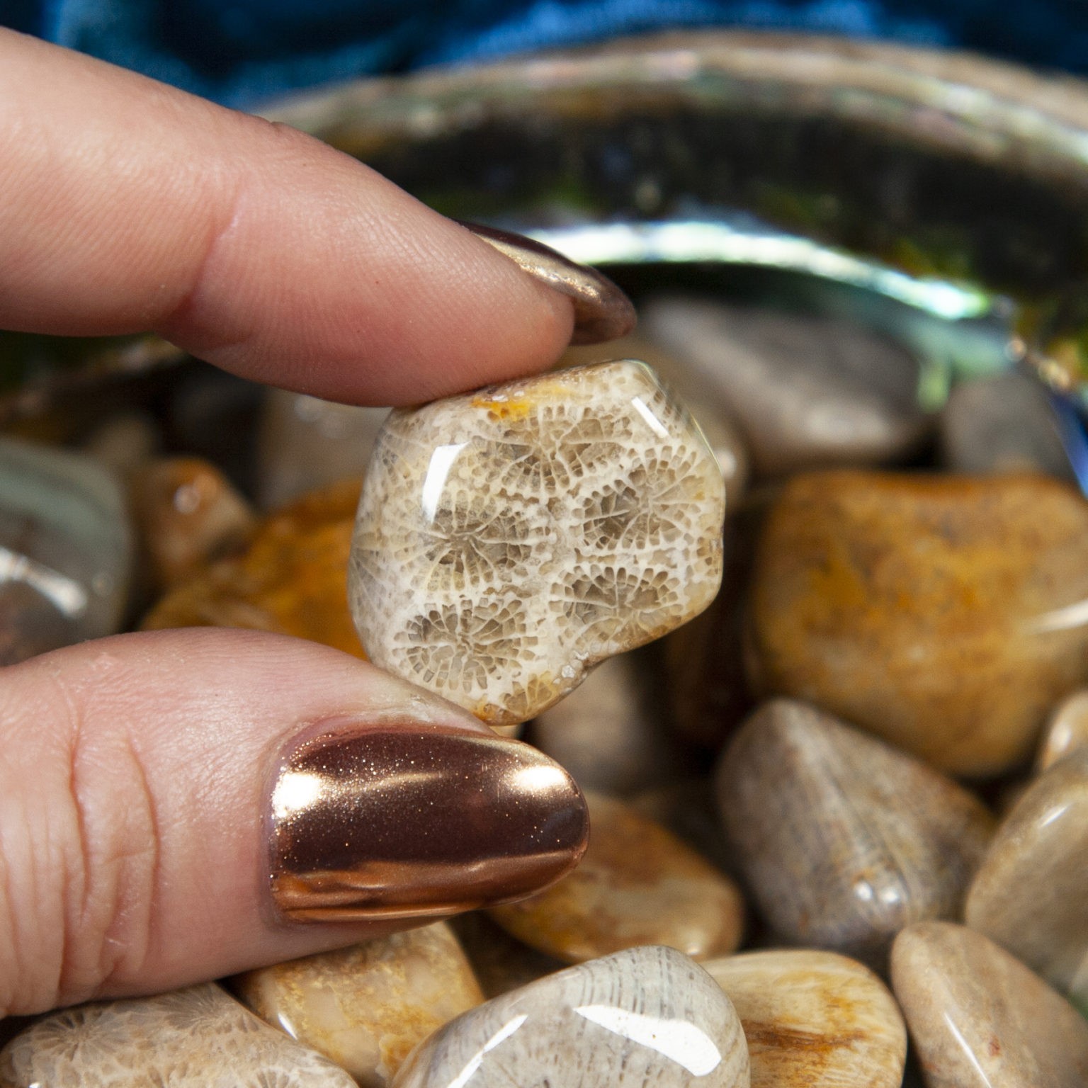 Sage Goddess Tumbled Agatized Coral for harnessing ancient energies