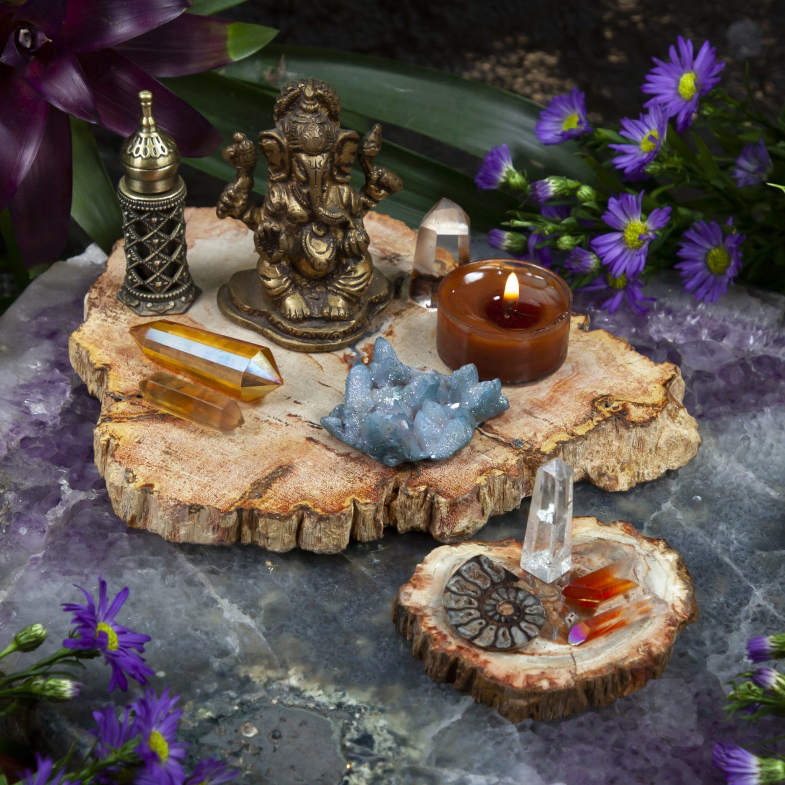 Petrified Wood Altar Plate for stability, grounding, and ancestral wisdom