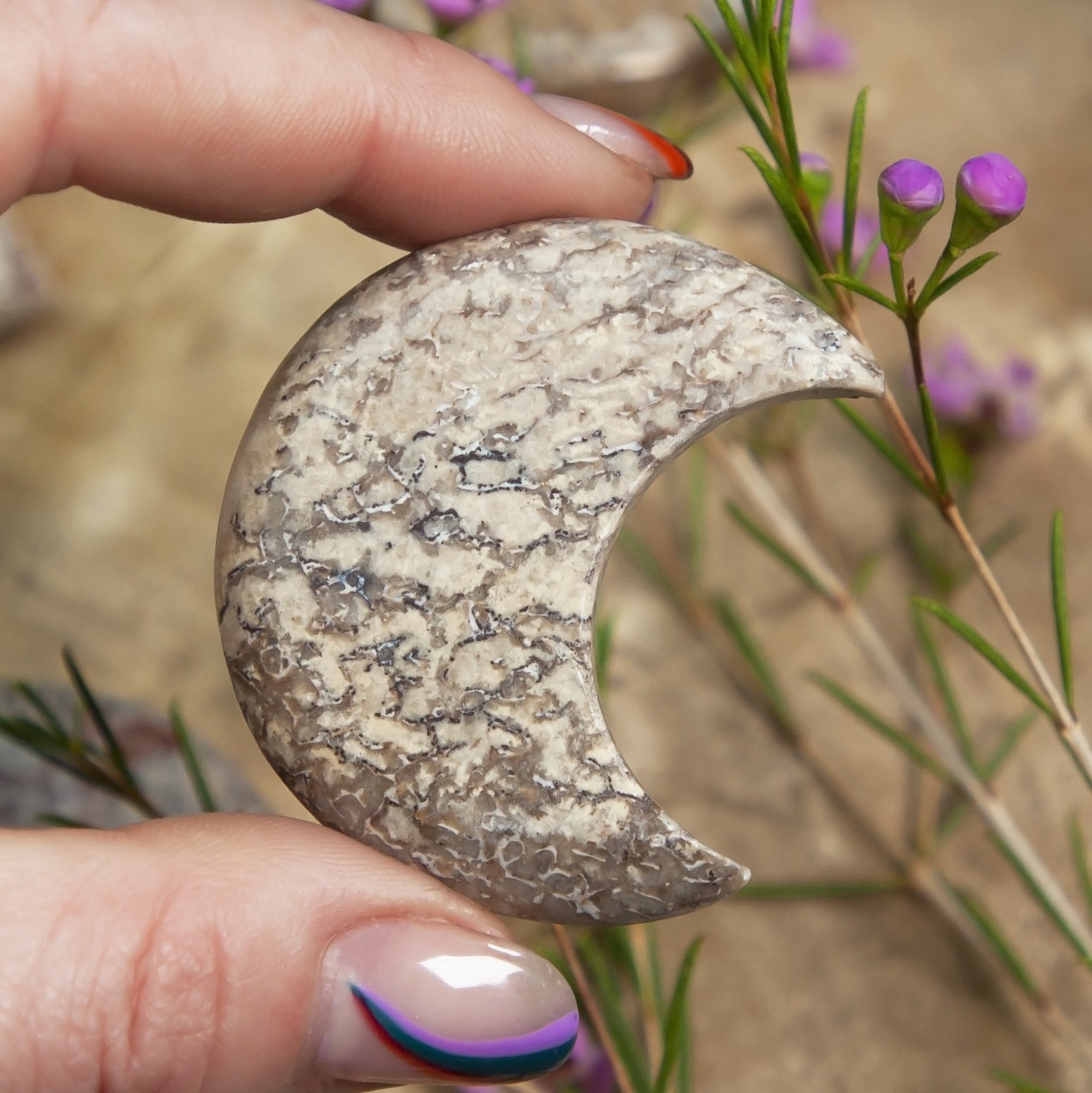 Dinosaur Bone Crescent Moon to access ancient wisdom above and below