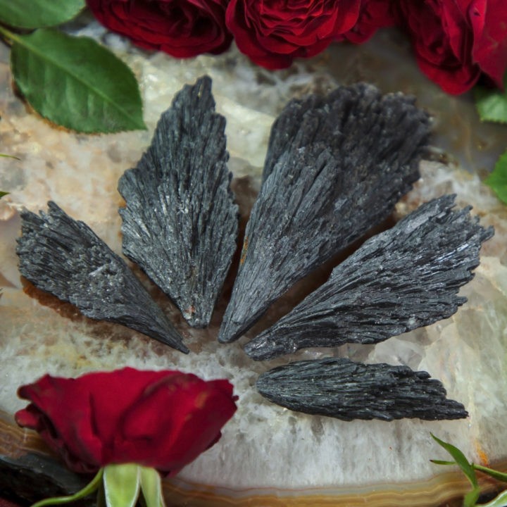 Sage Goddess Empath Perfume for setting emotional boundaries