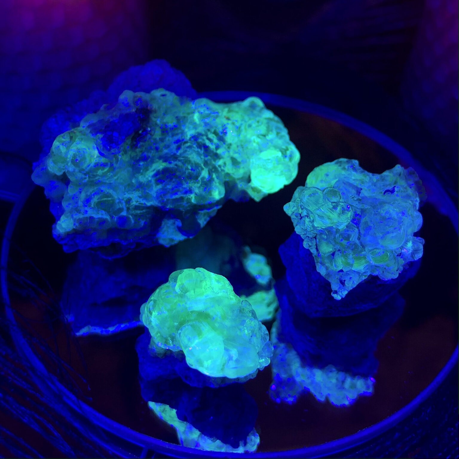 Sage Goddess Natural Hyalite Opal for divination and sixth sense opening