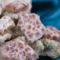Sage Goddess Natural Pink Natrolite for heart-healing and easing pain