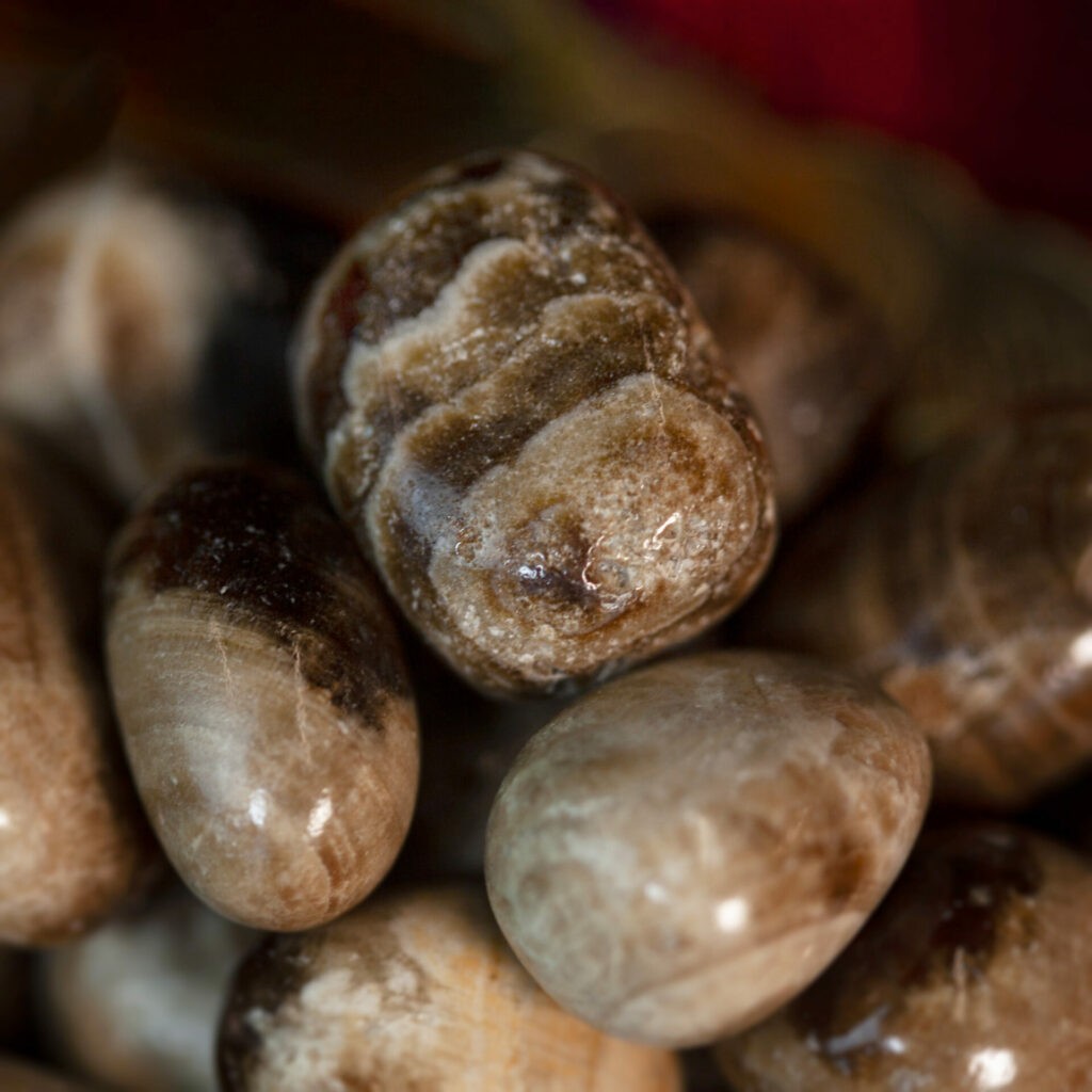 Sage Goddess Tumbled Chocolate Calcite for grounded expansion