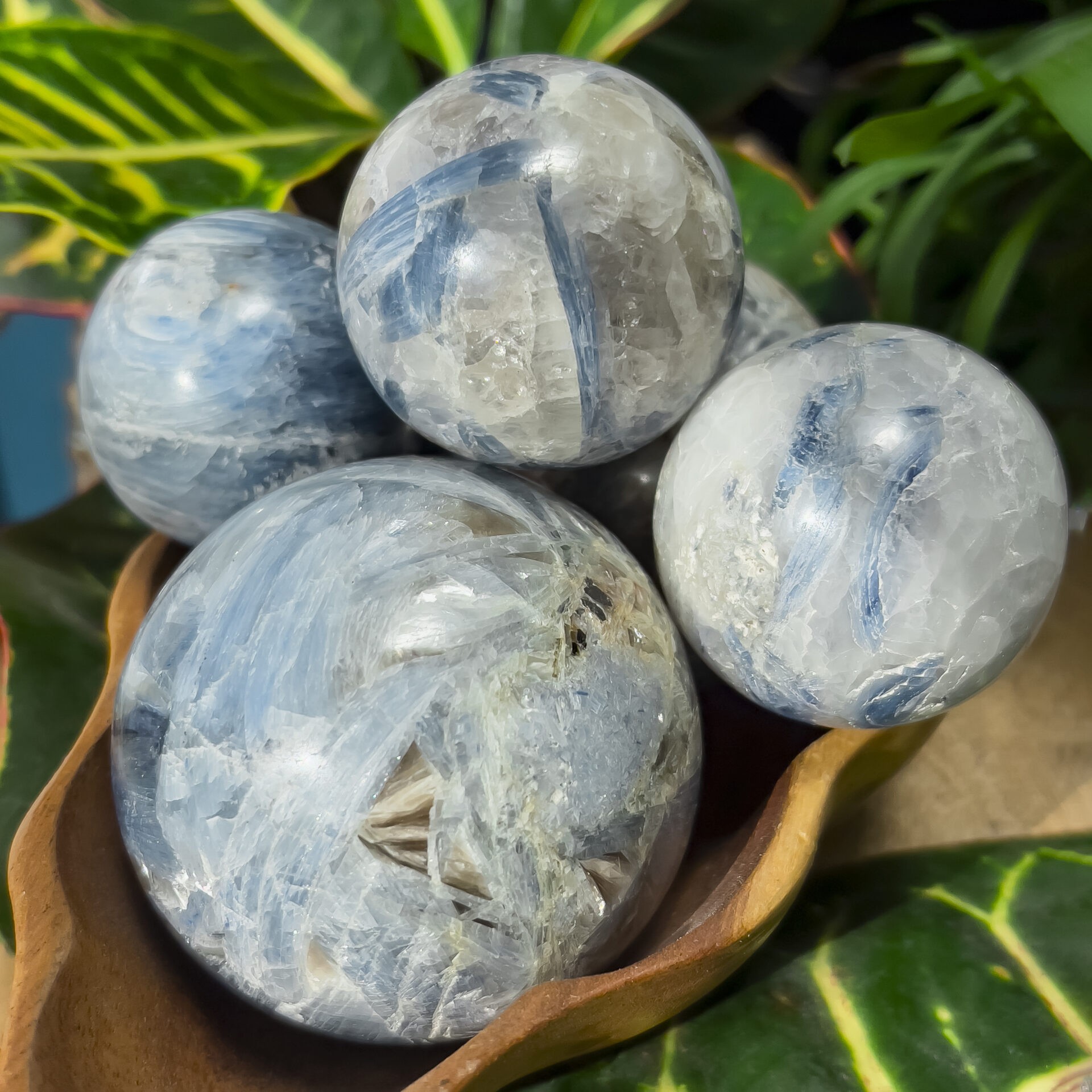 Sage Goddess Blue Kyanite in Quartz Instant Alignment Sphere