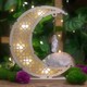 Sage Goddess Lunar Magic LED Lamp for celestial vibes