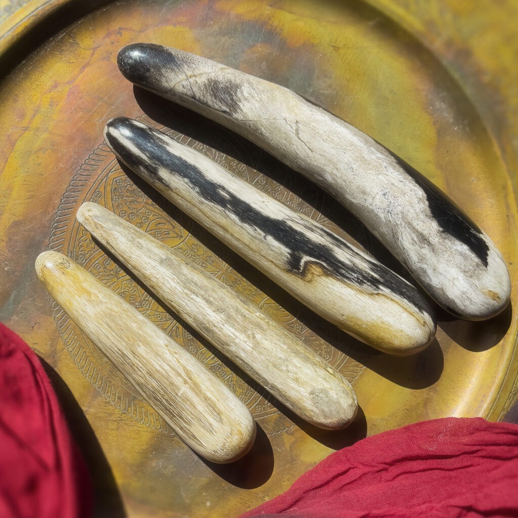 Fossilized Palm Root Massage Wand - Sage Goddess