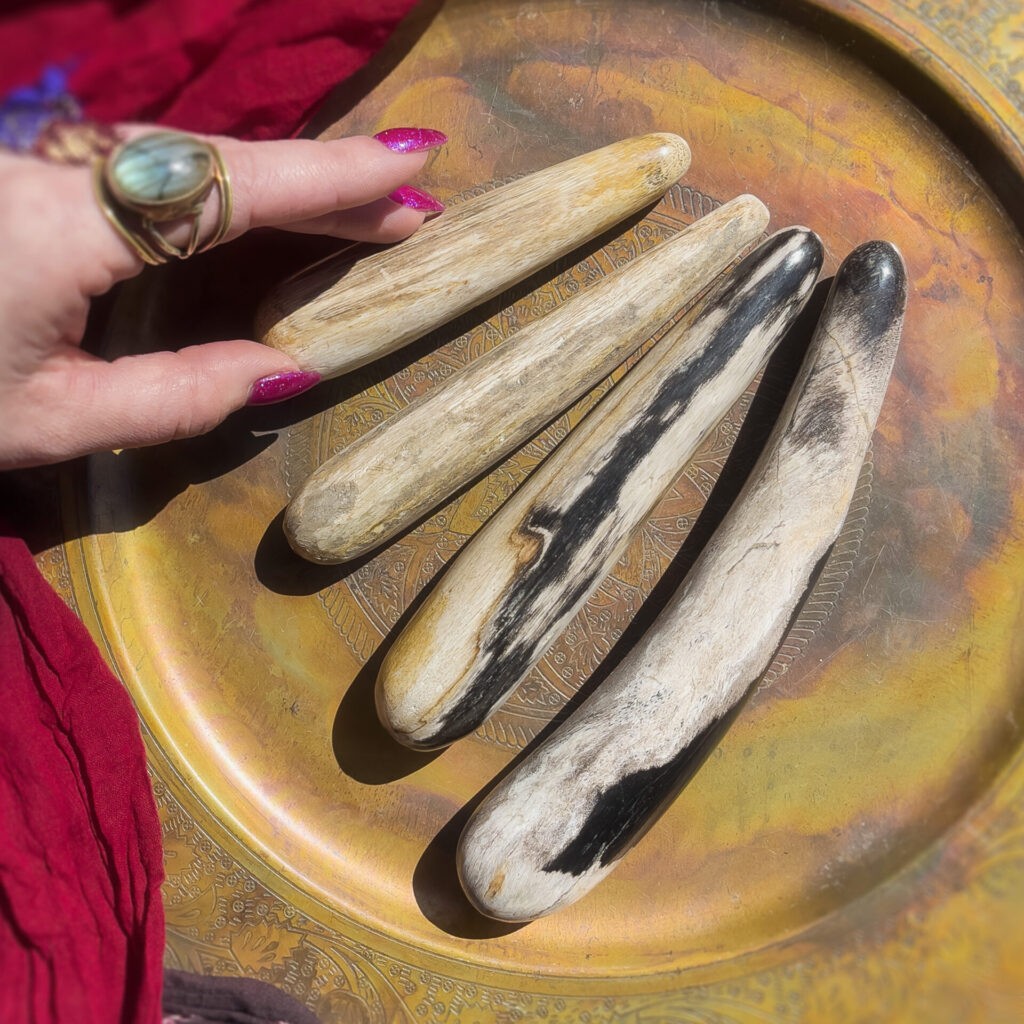 Fossilized Palm Root Massage Wand - Sage Goddess