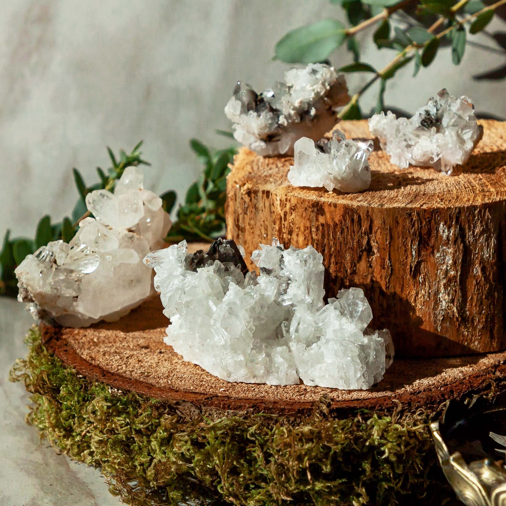 Sage Goddess Natural Brookite in Clear Quartz for spiritual wisdom
