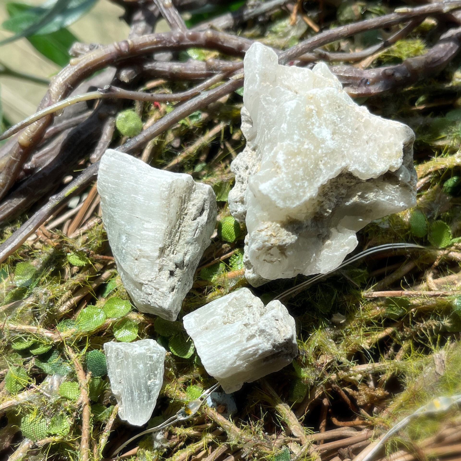 Sage Goddess Natural Beryllonite for insight and Divine purpose