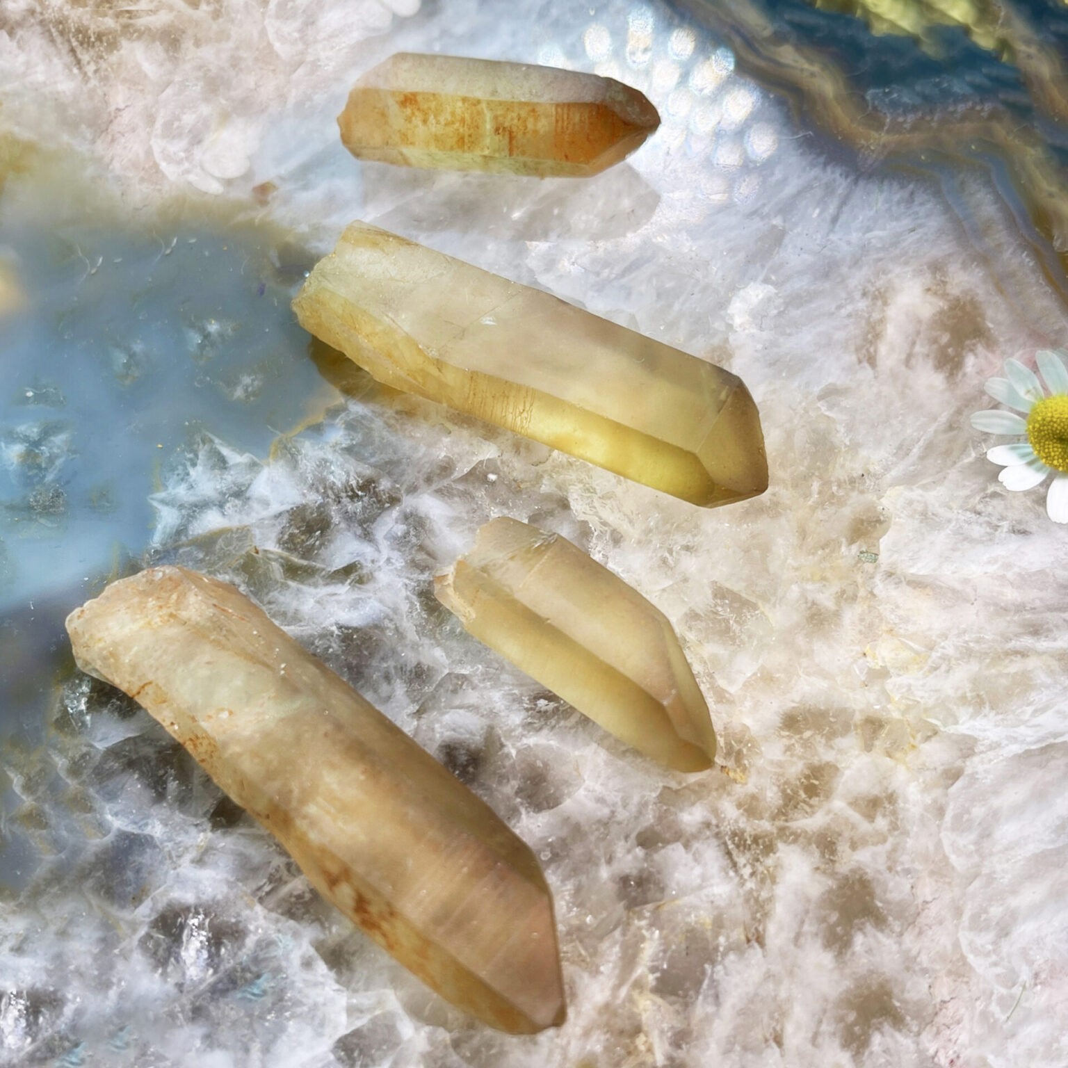 Home Shop Gems & Minerals Natural Congo Citrine Point