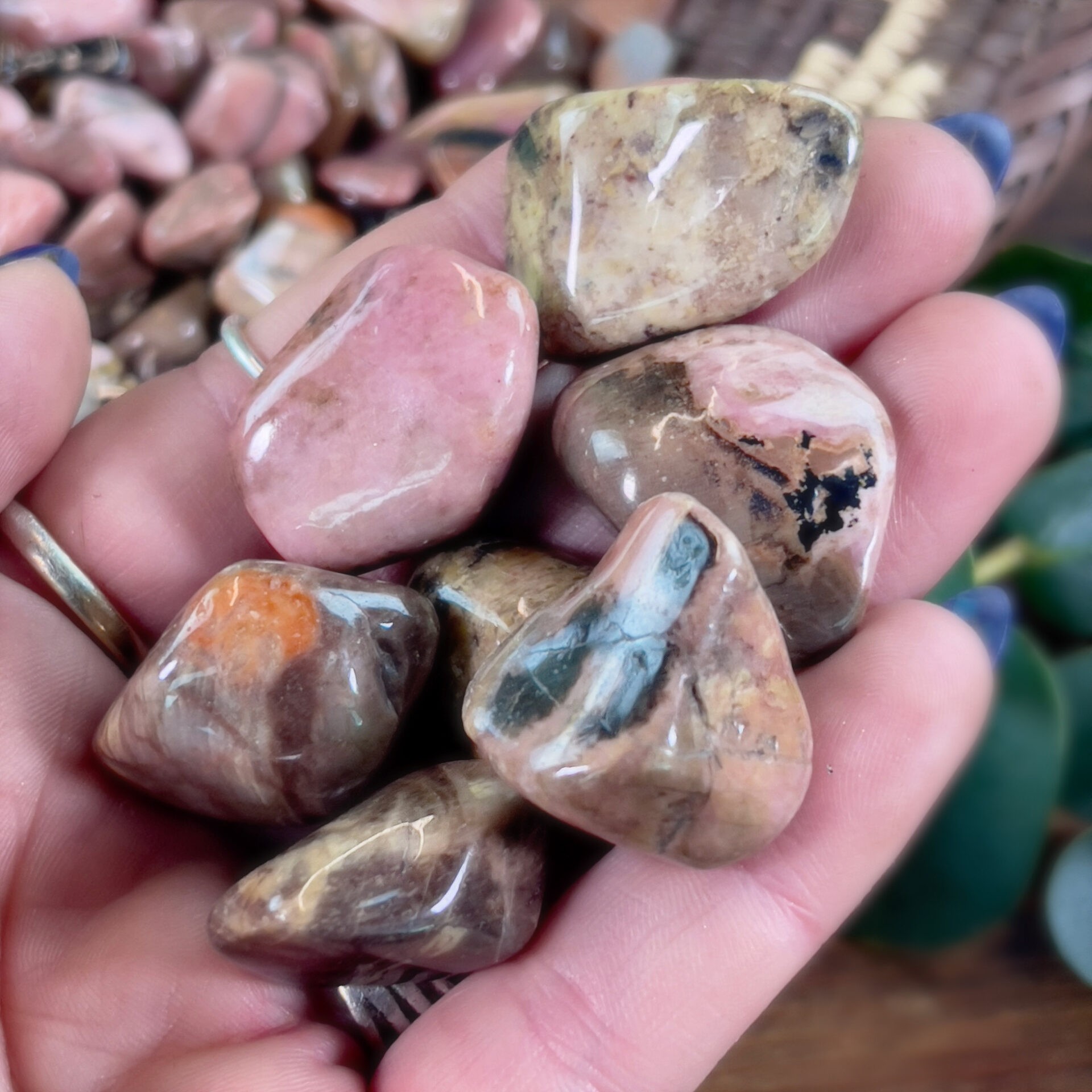 Sage Goddess Tumbled Bustamite for joy, creativity, and passion