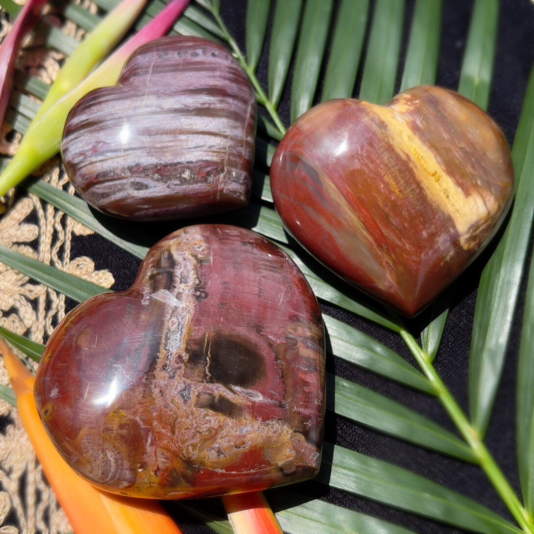 Ancient Wisdom Petrified Wood Heart for ancestral guidance