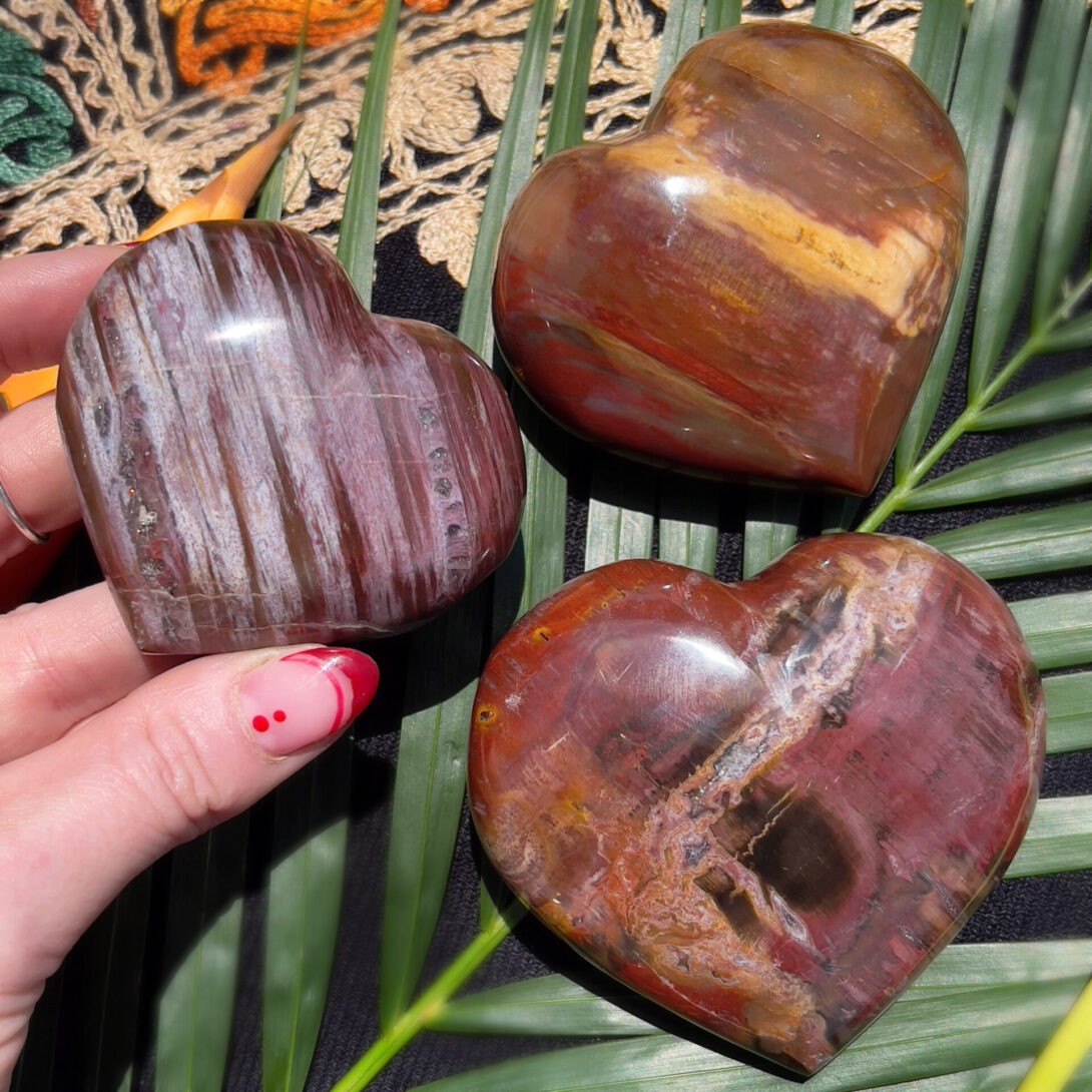 Ancient Wisdom Petrified Wood Heart for ancestral guidance