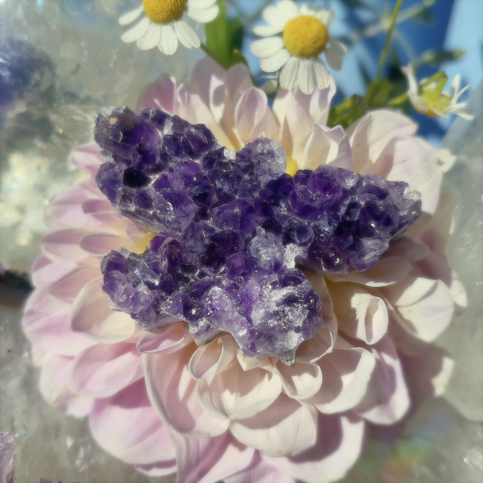 Sage Goddess Peaceful Transformation Amethyst Butterfly for change