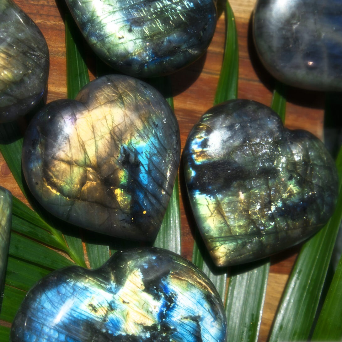 ( 0 ) ( 0 ) Watch Unwatch