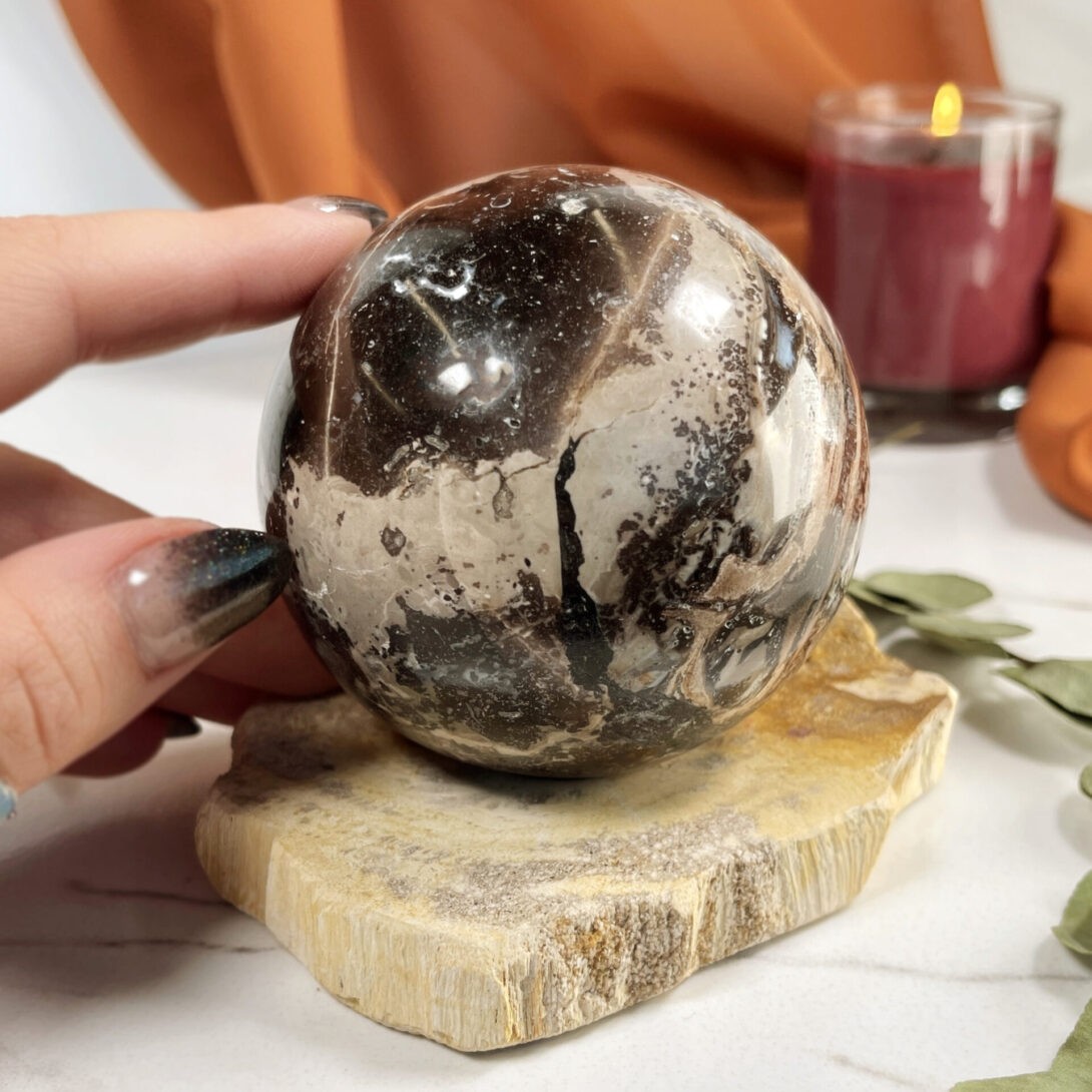 Petrified Palm Root Sphere & Sphere Stand Duo - Sage Goddess
