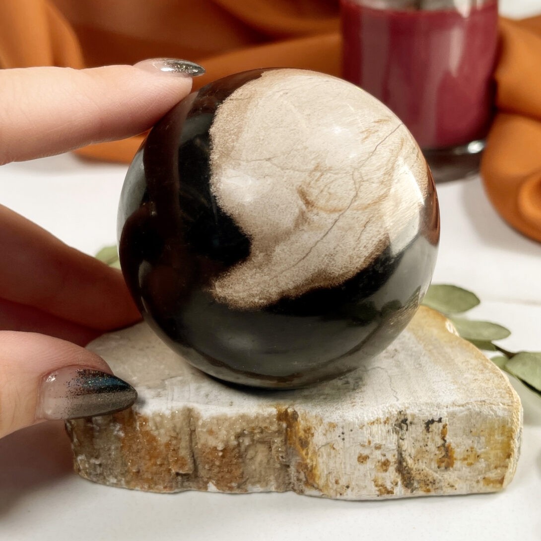 Petrified Palm Root Sphere & Sphere Stand Duo - Sage Goddess