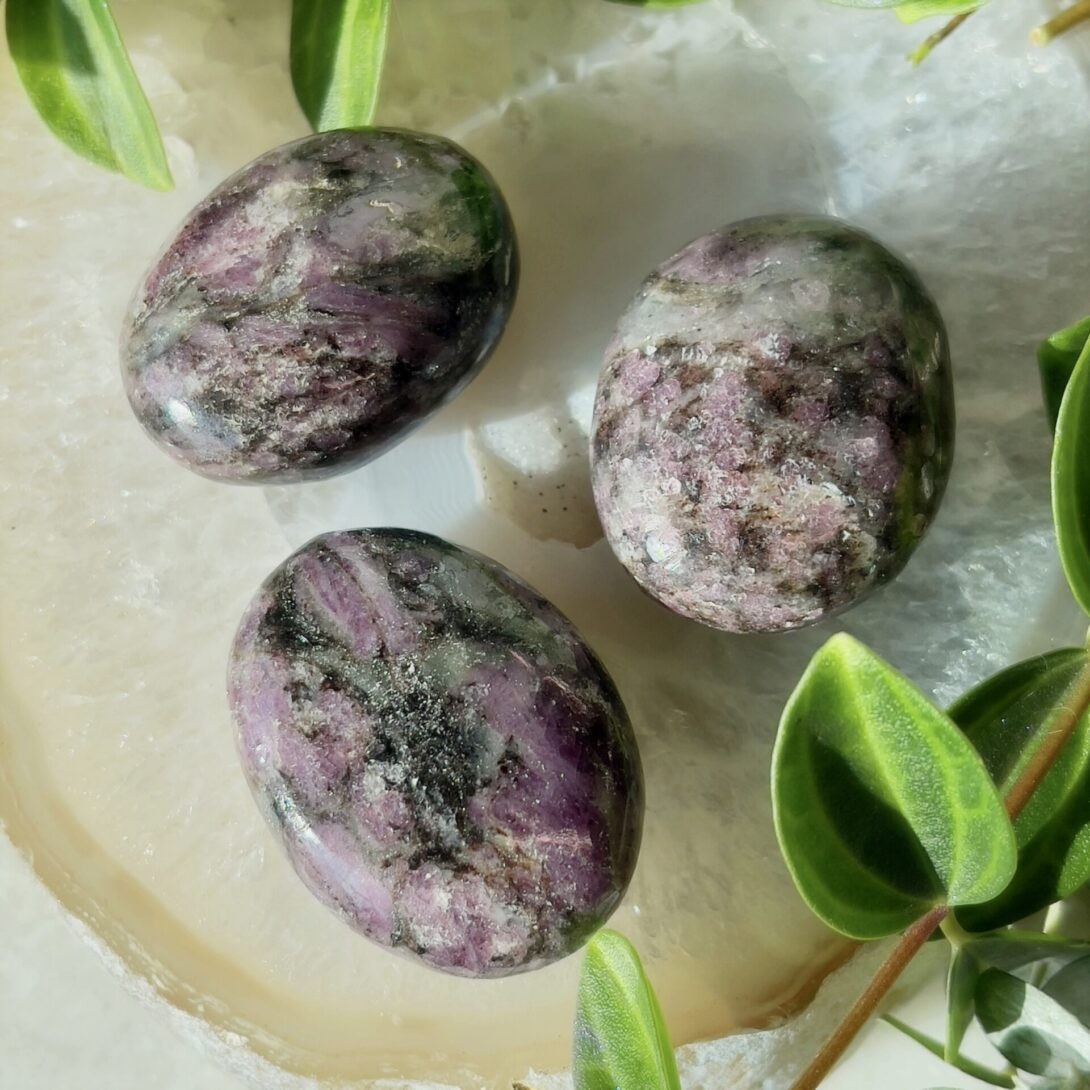 Spinel in Biotite Matrix Palm Stone for - Sage Goddess