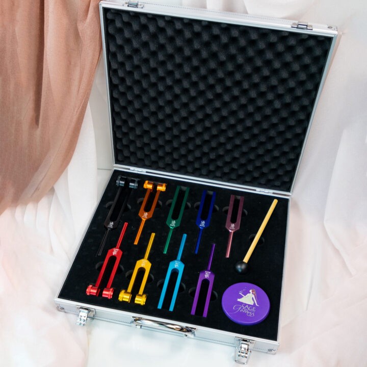 9_Chakra_Tuning_Fork_Set_with_Carry_Case_DD_1of3