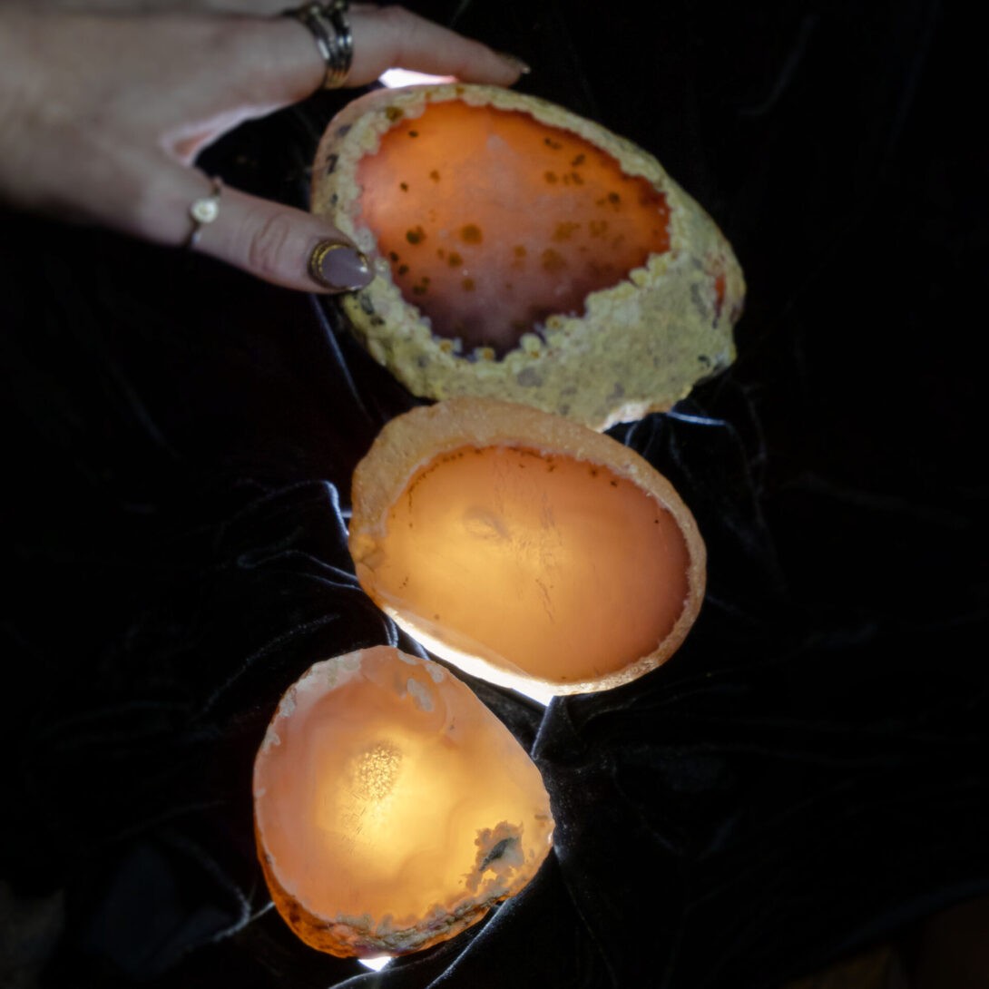 Choose Your Size Choose an option Small (2-3 in) Medium (3-4 in) Large ...