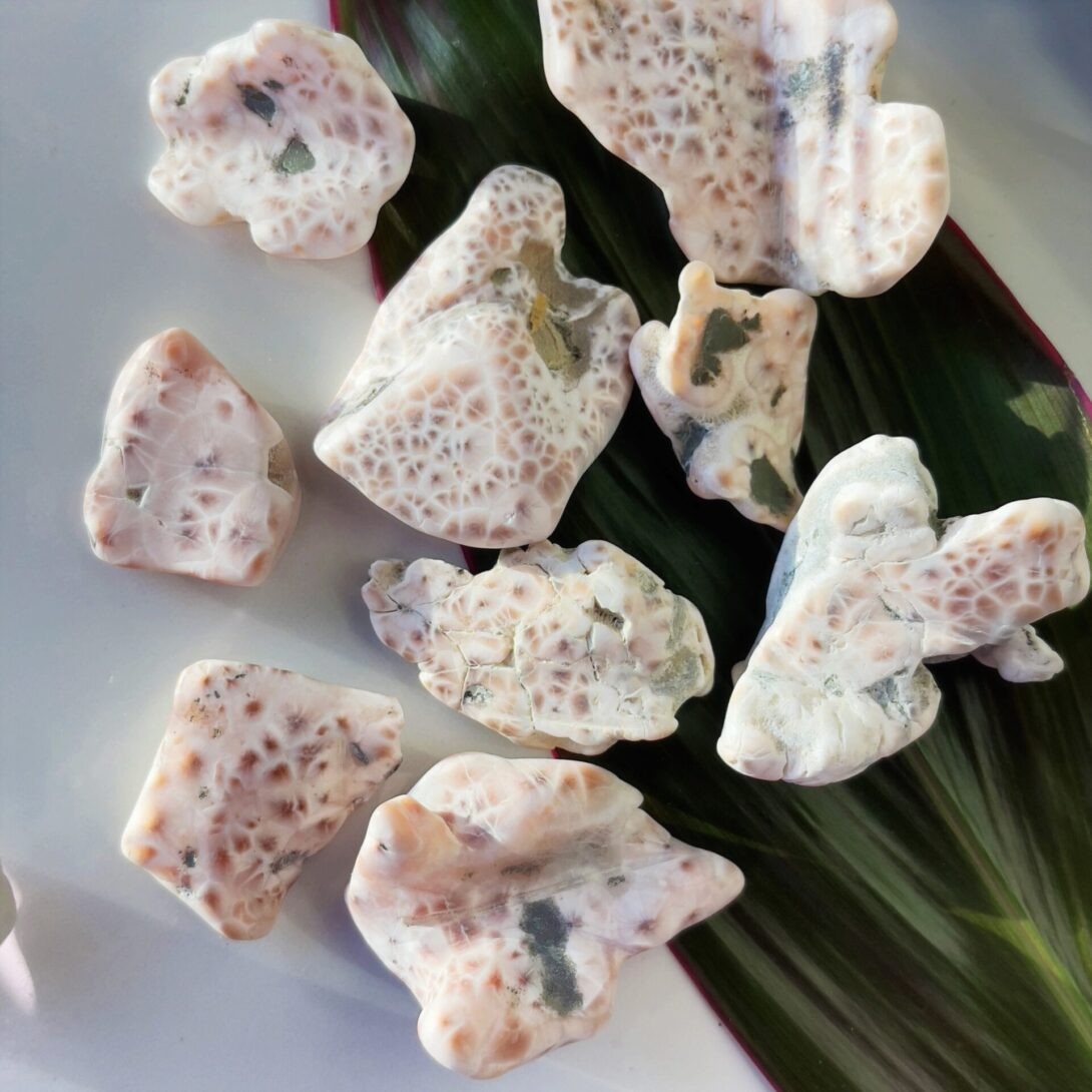 ( 0 ) ( 0 ) Watch Unwatch