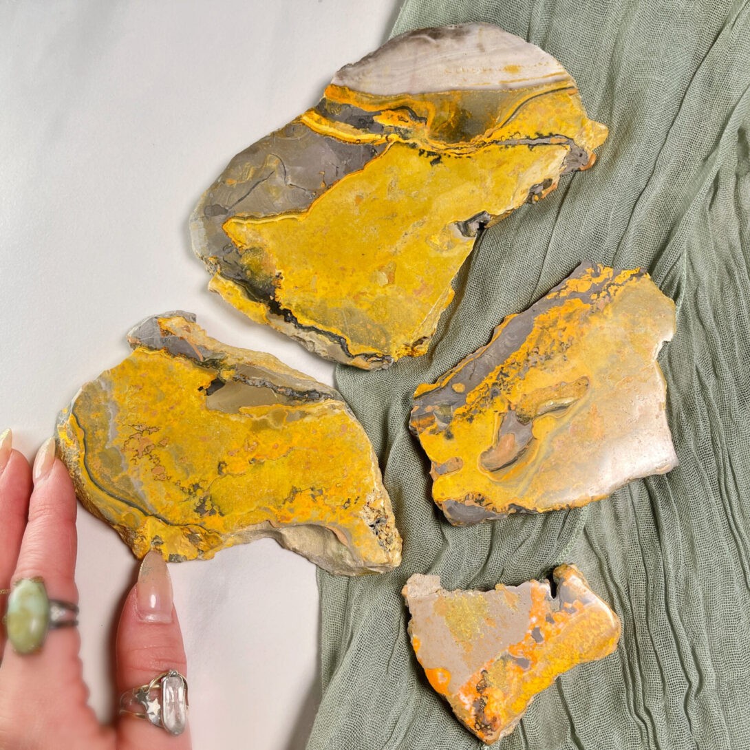 Home Shop Gems & Minerals Tucson at Twilight: Bee Yourself Bumblebee ...