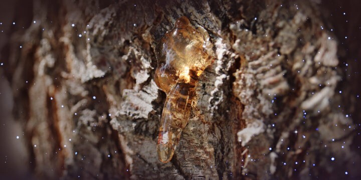 Sage Goddess The Mystical Power of Copal