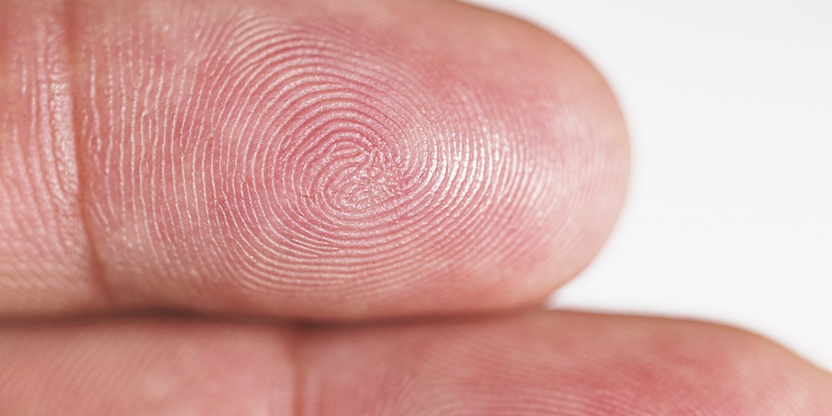 Sage Goddess A Beginner’s Guide to Palmistry: Unlocking the Secrets in ...