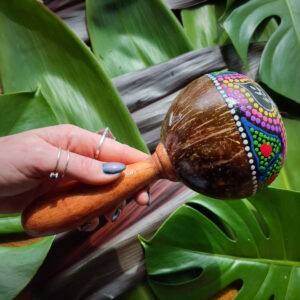 Home Shop Magical Gifts Hand Painted Coconut Rattle