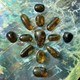 Sage Goddess Tumbled Dravite for energetic cleansing