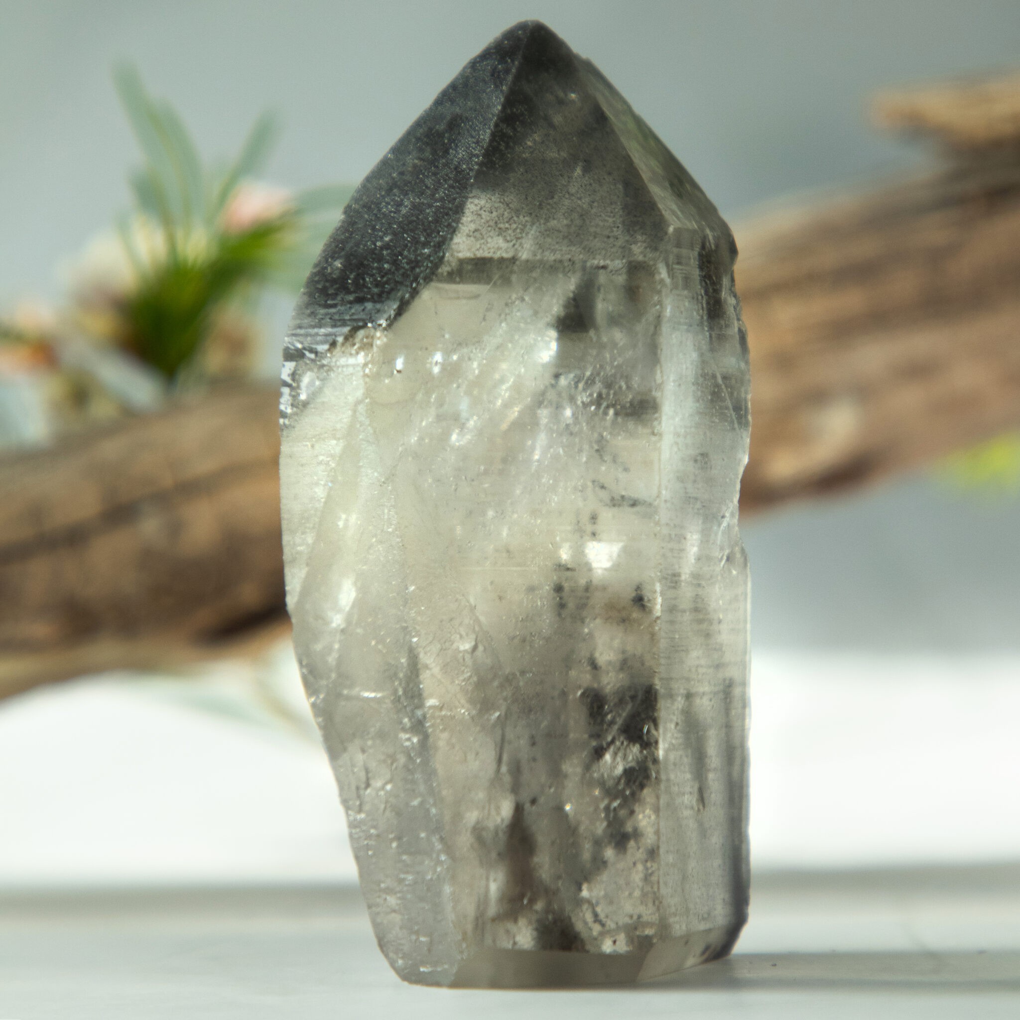 Phantom Lemurian Quartz Natural-Sided Generator - Sage Goddess