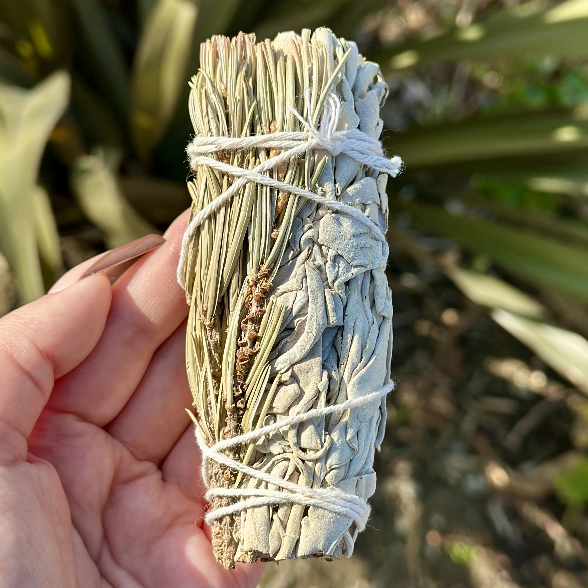 Piñon Pine & White Sage Smudge Bundle - Sage Goddess