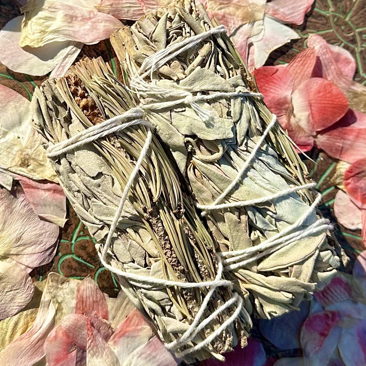 Piñon Pine & White Sage Smudge Bundle - Sage Goddess